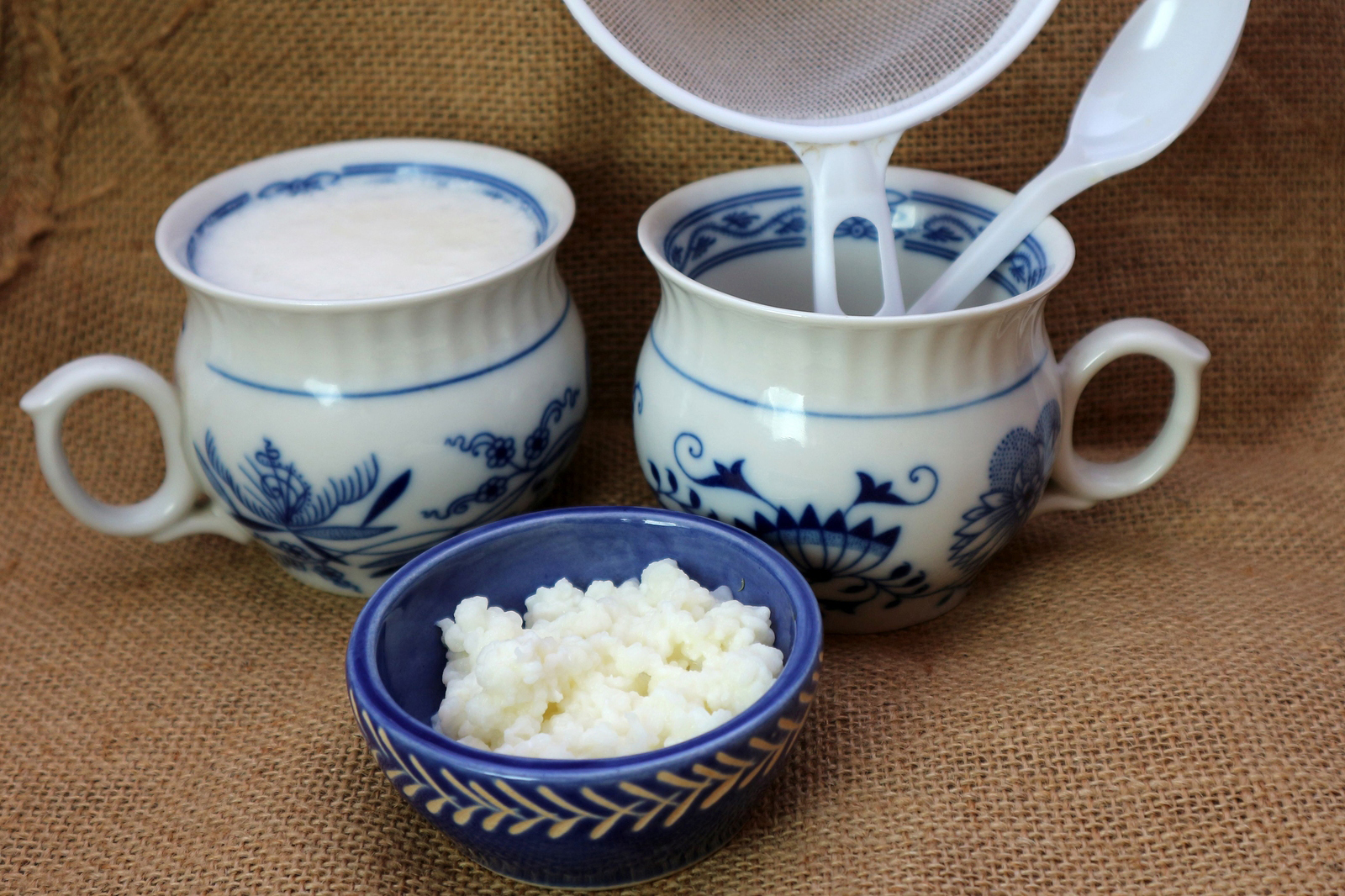 Milchkefir, Kefirpilz & Co: Was ist eigentlich Kefir? – Food Hub ...